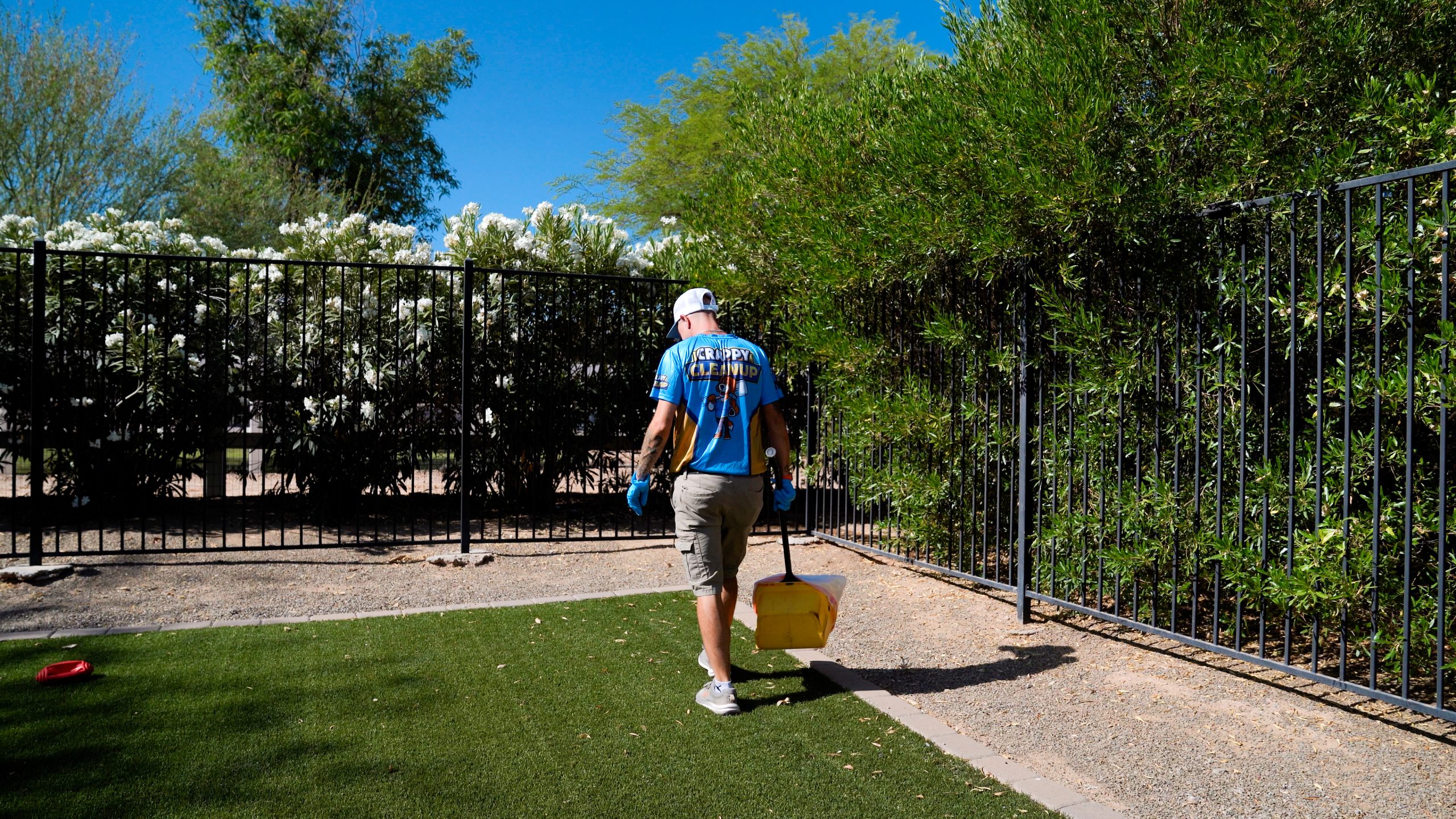 Professional Pooper Scooper Service in Phoenix, AZ, With Over 600 5 ...